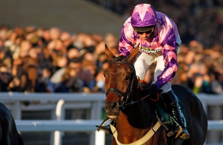 4,000 Paddy power Stock Pictures, Editorial Images and Stock Photos ...