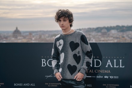 Chalamet Attends Bones All Photocall Hotel Editorial Stock Photo - Stock Image | Shutterstock