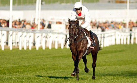 Nube Negra Harry Skelton Wins Shloer Editorial Stock Photo - Stock ...