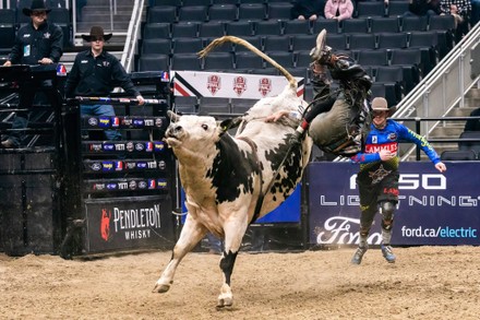 Braith Nock Aus Celebrates His Ride Editorial Stock Photo - Stock Image ...