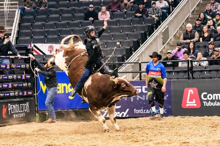 Braith Nock Aus Seen Action During Editorial Stock Photo - Stock Image ...