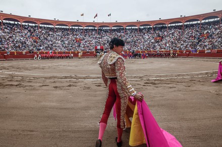 Peruvian Bullfighter Andres Roca Rey Performs Editorial Stock Photo ...