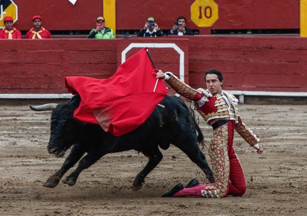 Peruvian Bullfighter Andres Roca Rey Performs Editorial Stock Photo ...