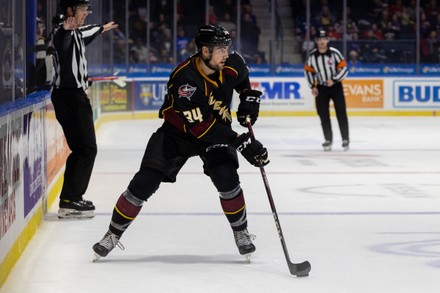 Cleveland Monsters Defenseman Samuel Knazko 20 Editorial Stock Photo - Stock Image | Shutterstock