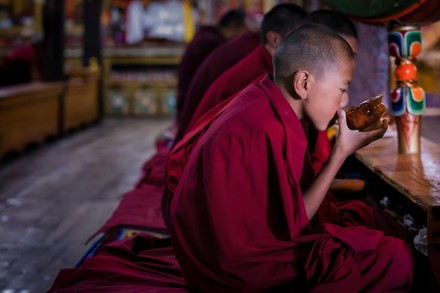 Young Monk Drinking Tea During Morning Editorial Stock Photo - Stock ...