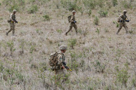 2,000 Combat training exercise Stock Pictures, Editorial Images and ...
