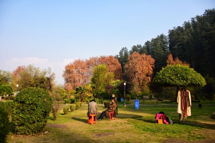 Photographer Waits Customers Inside Achbal Garden Editorial Stock Photo ...