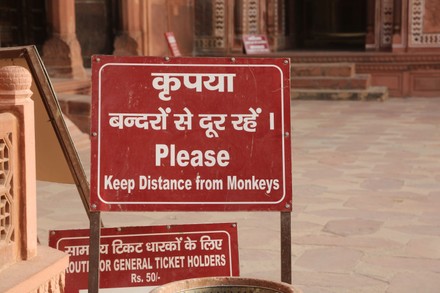 Sign Warning Tourists Keep Distance Monkeys Editorial Stock Photo ...