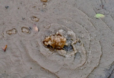 Drains Overflow During Continued Heavy Rainfall Editorial Stock Photo ...