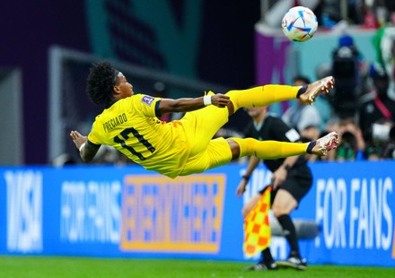 Qatar Goalkeeper Saad Alsheeb Qatar Torres Editorial Stock Photo ...
