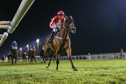 horse racing abu dhabi Stock Photos (Exclusive) | Shutterstock