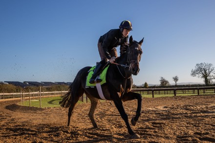 __COUNT__ Barry Connell Yard Visit Ahead of the Bar One Racing ...