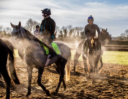 8,000 Gallops Stock Pictures, Editorial Images and Stock Photos ...