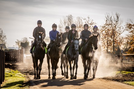Pictured Trainer Barry Connells String Horses Editorial Stock Photo ...