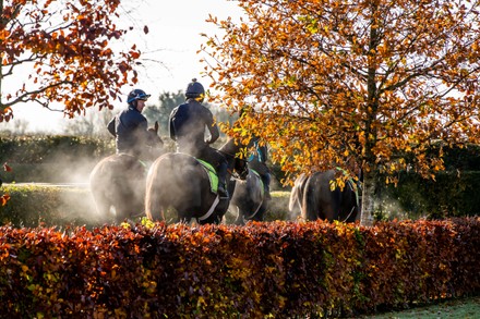 Pictured Trainer Barry Connells String Horses Editorial Stock Photo ...