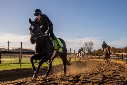__COUNT__ Barry Connell Yard Visit Ahead of the Bar One Racing ...
