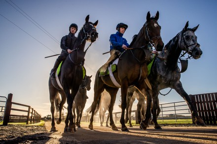 Pictured Trainer Barry Connells String Horses Editorial Stock Photo ...