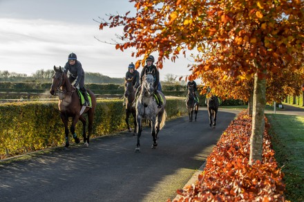 Pictured Trainer Barry Connells String Horses Editorial Stock Photo ...