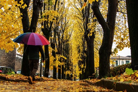 Gentleman Takes Shelter Rain His Umbrella Editorial Stock Photo - Stock ...
