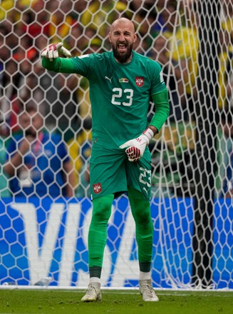 Goalkeeper Vanja Milinkovicsavic Serbia Editorial Stock Photo - Stock ...
