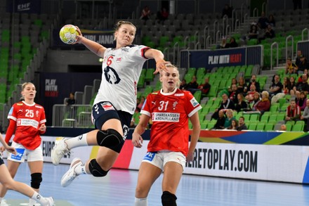 Denmark Handball Team Celebrate During 2022 Editorial Stock Photo - Stock Image | Shutterstock