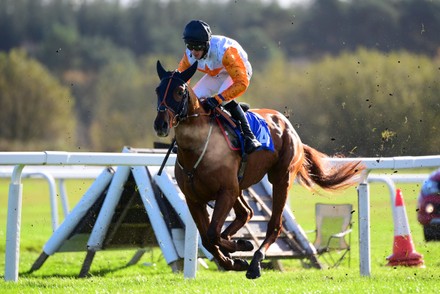 exeter races Stock Photos (Exclusive) | Shutterstock