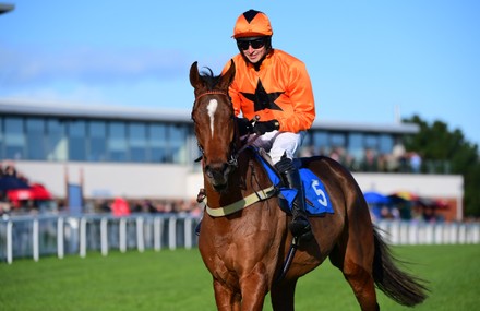 exeter races Stock Photos (Exclusive) | Shutterstock