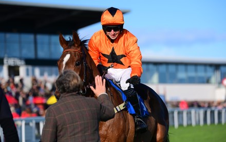exeter races Stock Photos (Exclusive) | Shutterstock