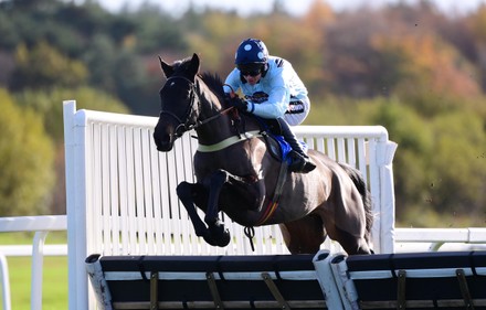 exeter races Stock Photos (Exclusive) | Shutterstock