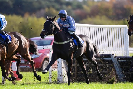 exeter races Stock Photos (Exclusive) | Shutterstock
