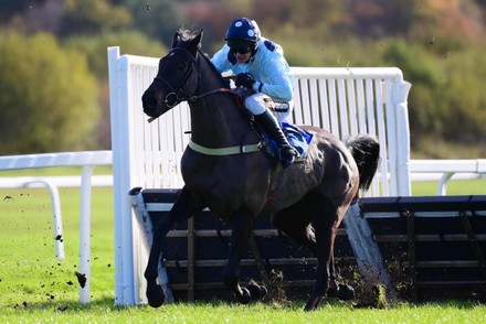 exeter races Stock Photos (Exclusive) | Shutterstock