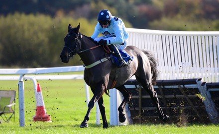 exeter races Stock Photos (Exclusive) | Shutterstock