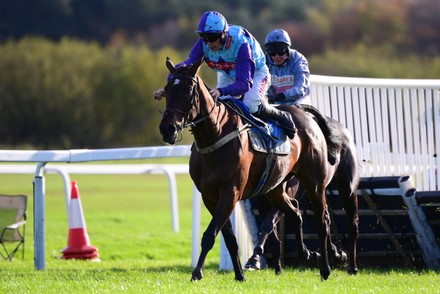 exeter races Stock Photos (Exclusive) | Shutterstock