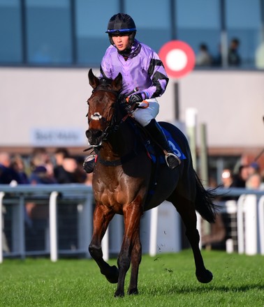 exeter races Stock Photos (Exclusive) | Shutterstock