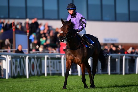 exeter races Stock Photos (Exclusive) | Shutterstock