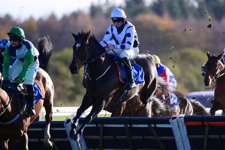 exeter races Stock Photos (Exclusive) | Shutterstock