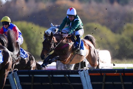 exeter races Stock Photos (Exclusive) | Shutterstock