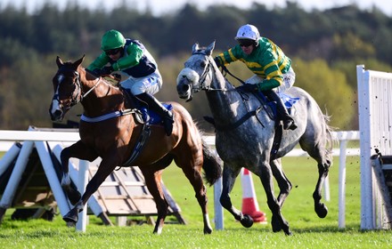 exeter races Stock Photos (Exclusive) | Shutterstock