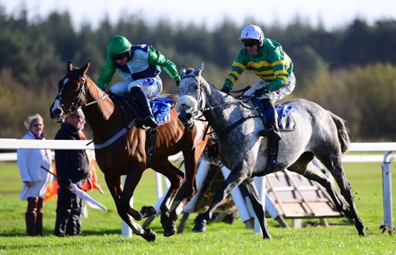 exeter races Stock Photos (Exclusive) | Shutterstock