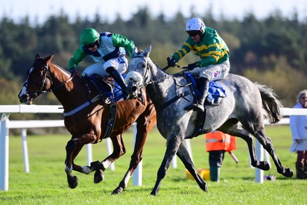 exeter races Stock Photos (Exclusive) | Shutterstock