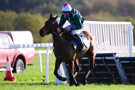 exeter races Stock Photos (Exclusive) | Shutterstock