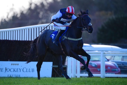 exeter races Stock Photos (Exclusive) | Shutterstock