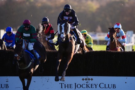 exeter races Stock Photos (Exclusive) | Shutterstock