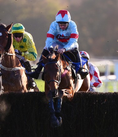 exeter races Stock Photos (Exclusive) | Shutterstock