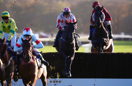 exeter races Stock Photos (Exclusive) | Shutterstock