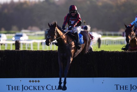 exeter races Stock Photos (Exclusive) | Shutterstock