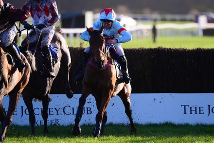 exeter races Stock Photos (Exclusive) | Shutterstock