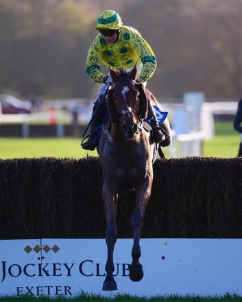 exeter races Stock Photos (Exclusive) | Shutterstock