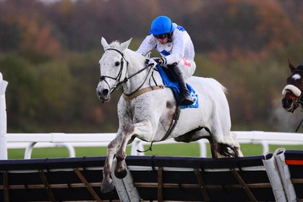 exeter races Stock Photos (Exclusive) | Shutterstock