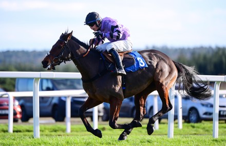Trainer Milton Harris Race 1 1240 Editorial Stock Photo - Stock Image ...
